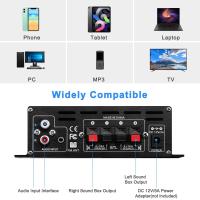 China AK-380 400W Power Amplifier with Bluetooth 5.0 and 2.0 CH HiFi Stereo for Home Audio for sale