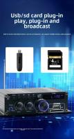 China 120W Dual Channel Power Amplifier with Equalizer for HiFi Stereo Audio for sale