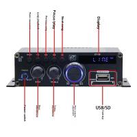 China 120W Dual Channel Power Amplifier with Equalizer for HiFi Stereo Audio for sale