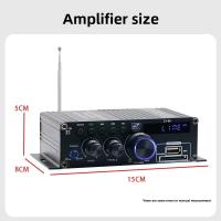 China 120W Dual Channel Power Amplifier with Equalizer for HiFi Stereo Audio for sale