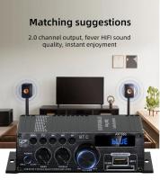 China AK-380 2.0 Channel Bluetooth v5.0 Audio Amplifier with 100-300W Output Power for Home Theater for sale