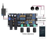 China XH-M273 PT2399 Digital Preamplifier Board 12-24V DC with Stereo Frequency for Karaoke Microphone Control for sale