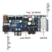 China CA-3116AS Professional 2.0 Channel Digital Subwoofer Amplifier Board 2*100W 8-24V Mini TPA3116 for Home Sound for sale
