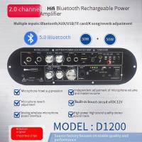 China D1200 2.0 Channel 50W+50W BT Digital Amplifier Board 12V Rechargeable for Car Home DJ Use for sale