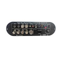 China D800 Professional 2.0 Channel Bluetooth Digital Amplifier Board 12V Rechargeable High Power for DJ/Karaoke for sale