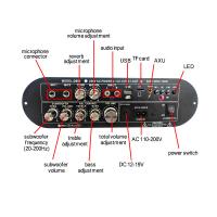 China D800 Professional 2.0 Channel Bluetooth Digital Amplifier Board 12V Rechargeable High Power for DJ/Karaoke for sale