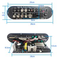 China D800 Professional 2.0 Channel Bluetooth Digital Amplifier Board 12V Rechargeable High Power for DJ/Karaoke for sale