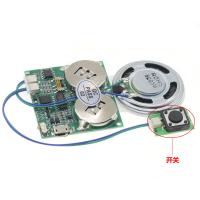 China USB Downloadable DIY Music Module MP3 Song Recording Board Greeting Card Mechanism Christmas/Birthday Electronic Components Gift for sale