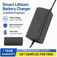 China High Efficiency Smart Lithium Battery Charger for LiFePO4 Polymer 12.6V 14.6V 16.8V 2A-30A for sale