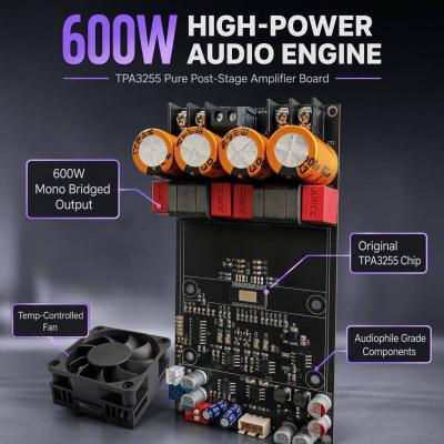 China 3002 Pure Post-Stage Digital Amplifier Board High Power TPA3255 Stereo/Bridge-Mono 600W Made in China for sale
