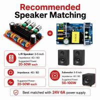China 2.1 Channel Audio Amplifier Board with 24V 6A Power Supply Module for DIY Subwoofer Speaker for sale