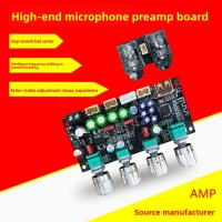 China AMP Mike Front Board Power Amplifier Board Karaoke Reverb Board Microphone K Song Singing DSP Mixing Anti-Howling Made in China for sale