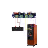 China 250W Audiophile 2-Way Crossover Divider  High-Frequency Mid-Low Adjustable Module for Home Theater Speaker for sale