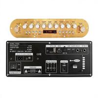 China D1600 Portable Speaker Power Amplifier Board Square Dance Outdoor Karaoke Trolley Case for 12V Battery 220VDSP Sound for sale