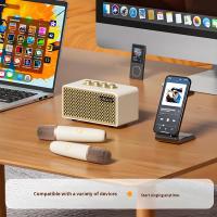 China S1 Portable Retro Audio All-In-One Speaker RGB Wireless BT Microphone for Home Outdoor Karaoke Cross-Border Exclusive for sale