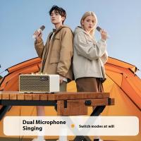 China S1 Portable Retro Audio All-In-One Speaker RGB Wireless BT Microphone for Home Outdoor Karaoke Cross-Border Exclusive for sale