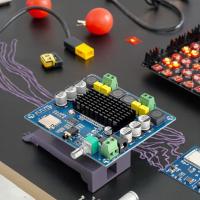 China TPA3116 Dual-Channel 2*100W High-Power  Digital Amplifier Board Module HIFI High-Definition TF Card Input ICs Product for sale