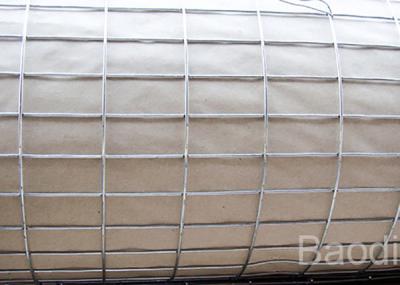 China 2x2 Galvanized Welded Wire Mesh Rolls Firm Structure For Garden Protection for sale