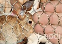 China Hot Dipped Galvanized Chicken Wire Mesh 0.45-1.4mm for Poultry Livestock Fencing for sale