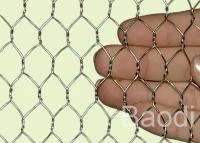 China Electro Galvanized Chicken Wire Mesh Hexagonal Poultry Netting 0.56mm 1/2 Inch for sale