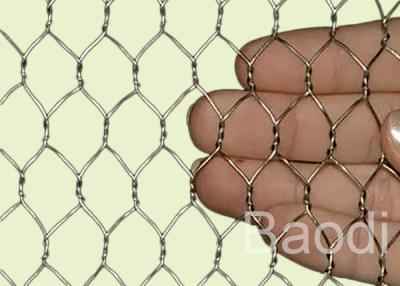 China Electro Galvanized Chicken Wire Mesh Hexagonal Poultry Netting 0.56mm 1/2 Inch for sale