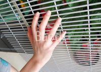 China Security 358 Anti Climb Mesh Fence Welded Panel PVC Coated After Galvanized for sale