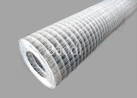 China Galvanised Welded Wire Mesh 25mm x 25mm 0.8mm Wire 0.58m x 45m Roll for Pet Cage Construction for sale