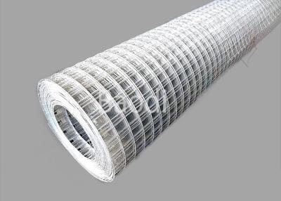 China Galvanised Welded Wire Mesh 25mm x 25mm 0.8mm Wire 0.58m x 45m Roll for Pet Cage Construction for sale