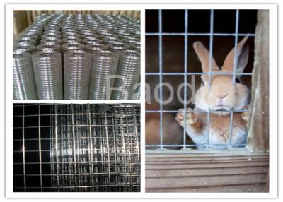China Electro Welded Galvanized Steel Hardware Cloth 1/4in to 2in Mesh for Animal Fence for sale