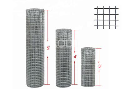China Galvanized Welded Steel Wire Fabric Roll 3ft 4ft 5ft Height 50ft 100ft Length for sale