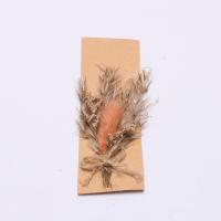 China Colorful Pampas Natural Dried Grass 43*15cm For Gift Set for sale