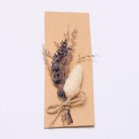 China Colorful Pampas Natural Dried Grass 43*15cm For Gift Set for sale