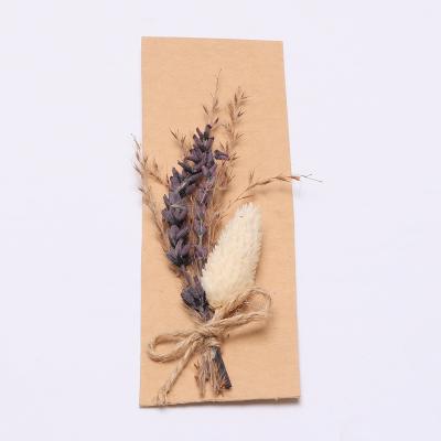 China Colorful Pampas Natural Dried Grass 43*15cm For Gift Set for sale