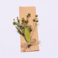 China Colorful Pampas Grass Arrangement Artificial 43*15cm for sale