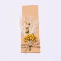 China Colorful Pampas Grass Arrangement Artificial 43*15cm for sale