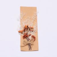 China Colorful Pampas Grass Arrangement Artificial 43*15cm for sale