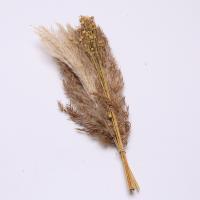 China Artificial Pampas Grass Arrangement Length 35cm for sale