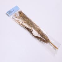 China Artificial Pampas Grass Arrangement Length 35cm for sale
