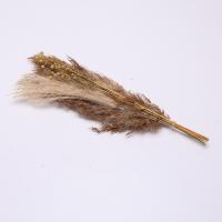 China Artificial Pampas Grass Arrangement Length 35cm for sale