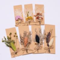 China Opp Bag Pampas Natural Dried Grass Potpourri 43*15cm for sale