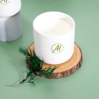 China 400g Free Sample White Metal Lid Ceramics Jar Scented Candle 10*10cm for sale