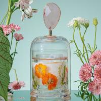 China Aromatherapy Immortal Flower Crystal Cup Healing Soy Wax Scent Candle With Cover for sale