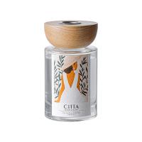 China Aromatherapy Essential Oil Fragrance Perfume Glass Bottle Reed Diffuser With Wooden Lid for sale