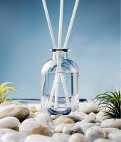 China Glass Bottle Essential Oil Aromatherapy Stick Clear Household Reed Diffuser for sale