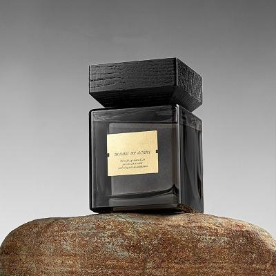 China Square Luxury Black Glass Home Fragrance Reed Diffuser 500ml For Holiday for sale