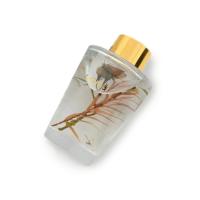 China Amber Patchouli Glass Reed Diffuser Mini Reed Diffuser For Bathroom for sale