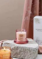 China Glass Dome Aromatherapy Aroma Home Candle Gift Sets for sale