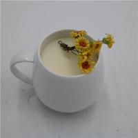 China 6oz Simple White Nature Ceramic Soy Candle Aromatherapy Jar Candle for sale