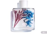 China Room Perfume Aroma Reed Diffuser 100ml With Dried Flowers Decoration for sale