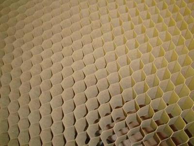 China High Strength Paper Honeycomb Door Core Cell Size 15mm 20mm 25mm for Furniture Filling for sale